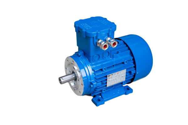 ATEX products Archives - Invincible Rewinds